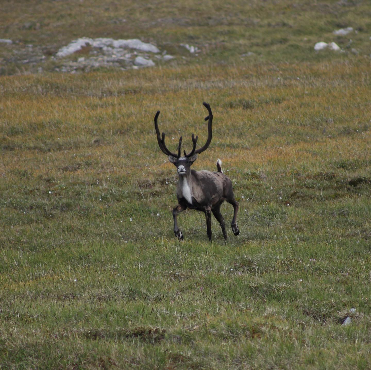 Episode 23: Adam Salinger, Outdoor Education, and the Adventurous Life