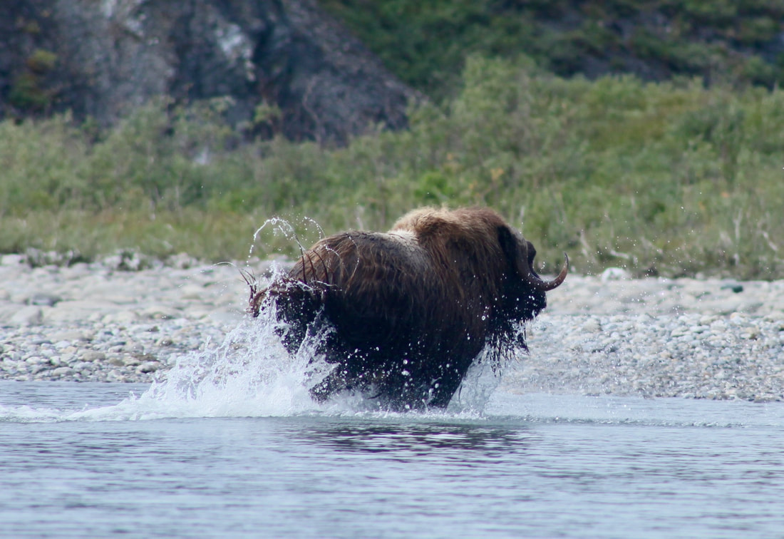 Episode 23: Adam Salinger, Outdoor Education, and the Adventurous Life